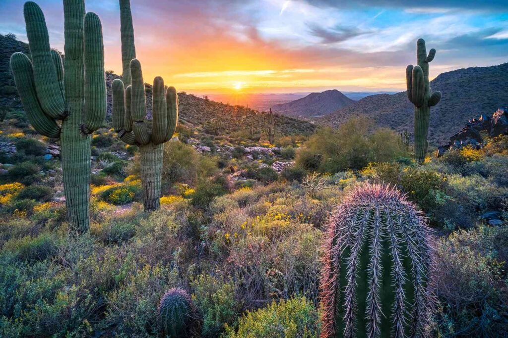 Where Is Arizona? Location, Borders, and Key Facts